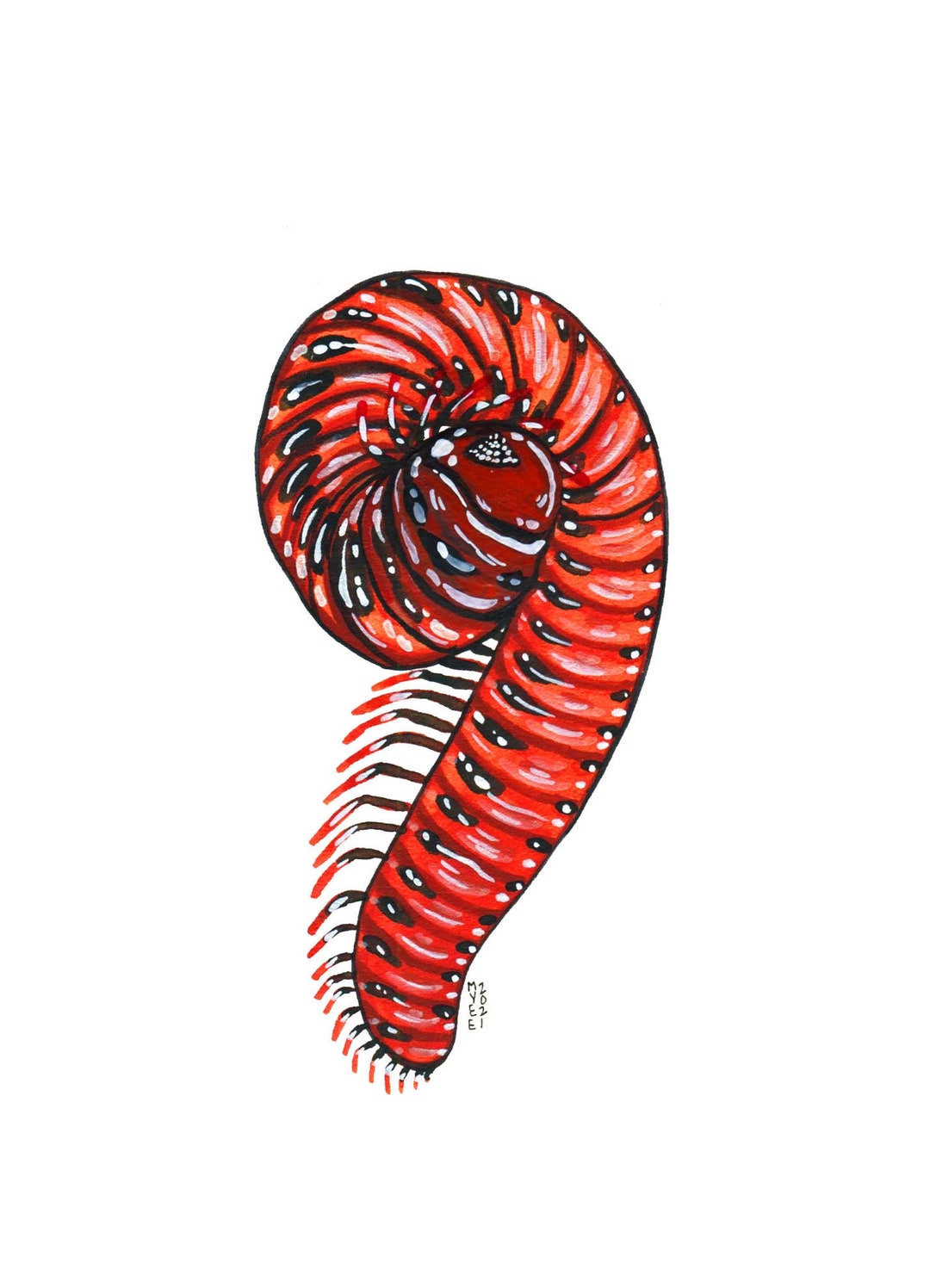 Red Fire Millipede, Original Watercolor Painting - Etsy