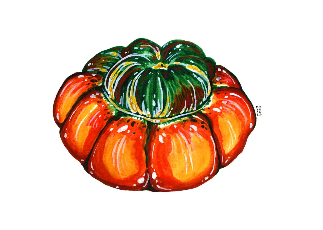 Turban Squash, Original Watercolor Painting - Etsy