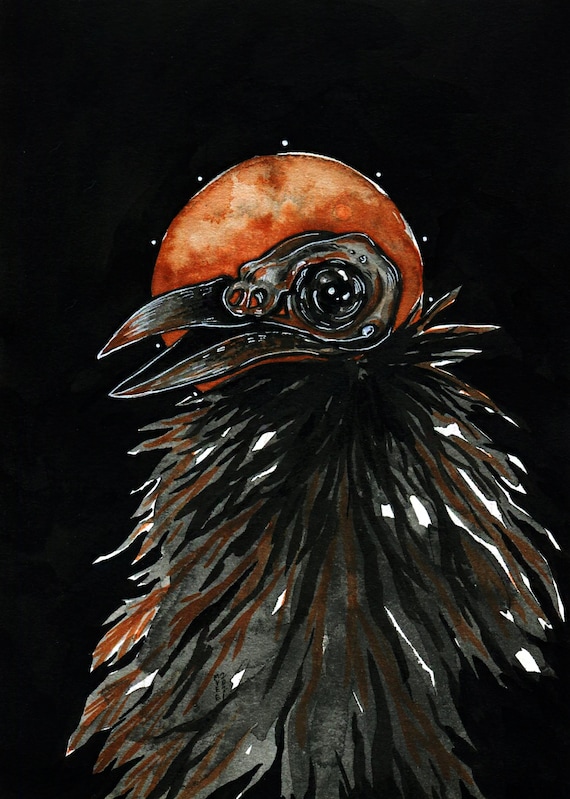 Scavenger Animals Drawing