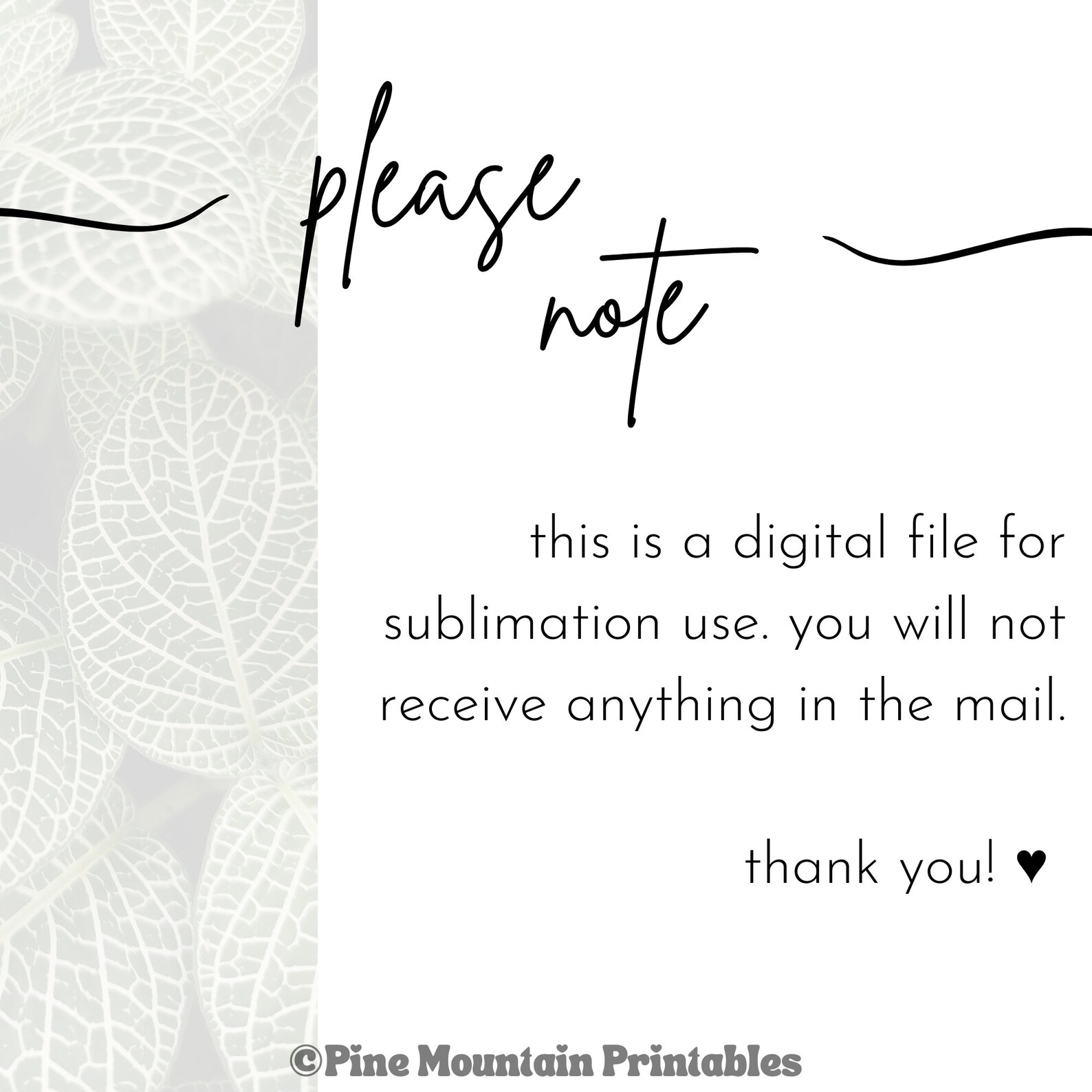 Western Tumbler Wrap PNG, Longhorn Cow Tumbler Wrap Design, Bull 20oz ...