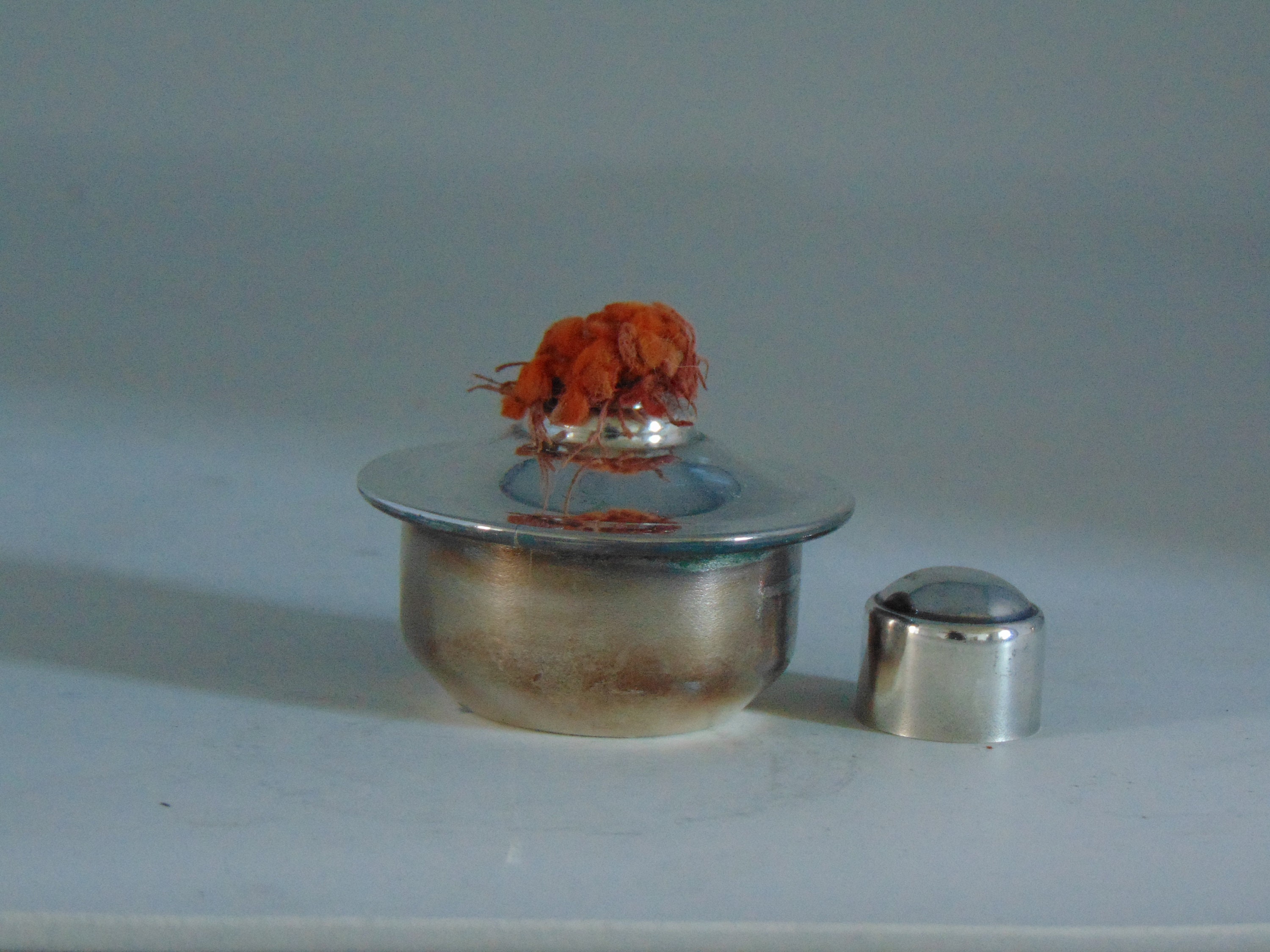 Brandy Glass Warmer White Metal and Glass Drink Container Brandy ...