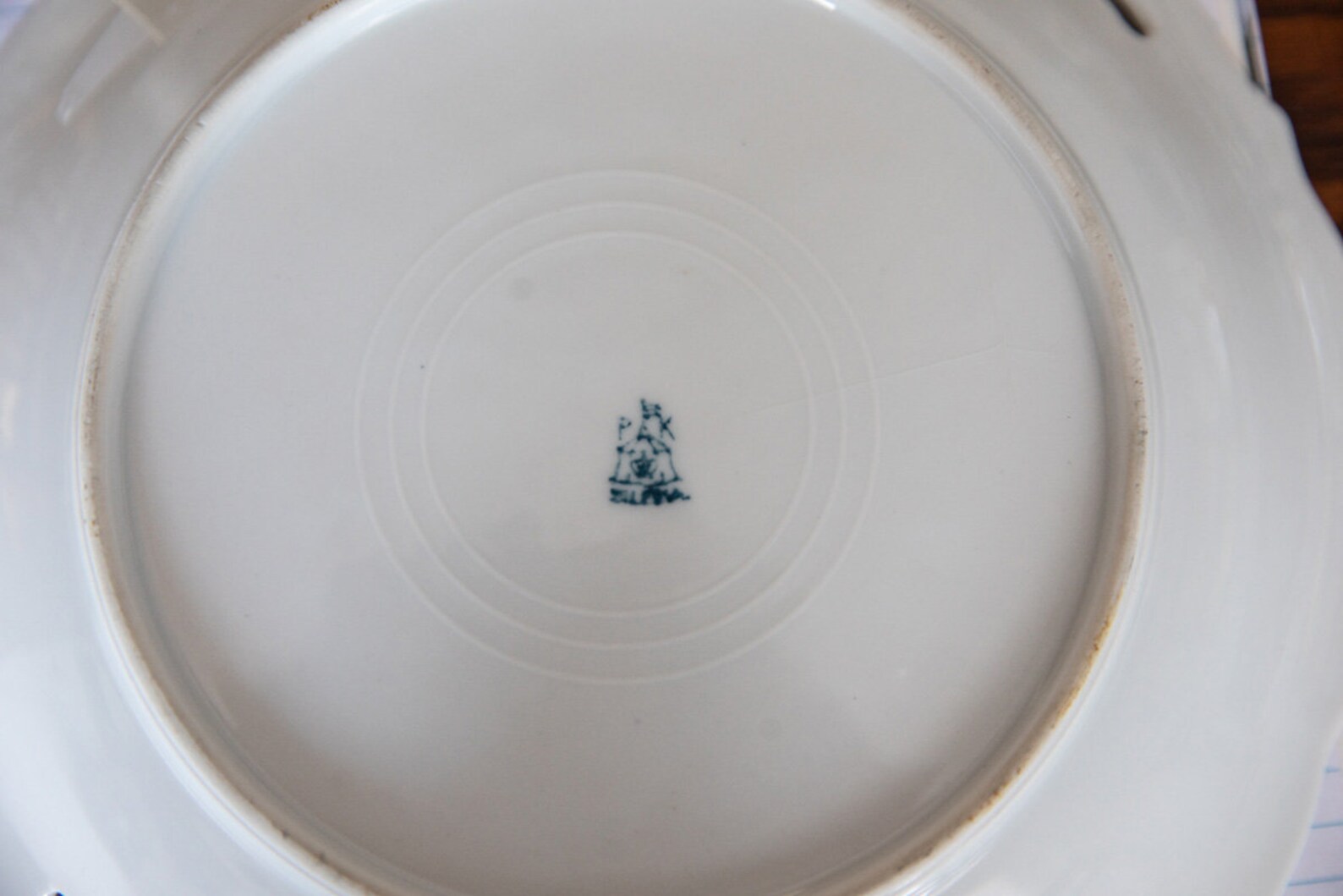 Pak Plate Iridescent and Pink Roses - Etsy