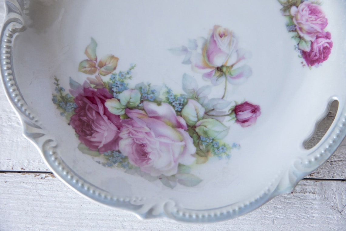 Pak Plate Iridescent and Pink Roses - Etsy