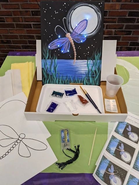 Moonlit Dragonfly with LED Lights PAINTING KIT With Online - Etsy