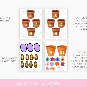 Flower Themed Bundle, Flower Unit Study, Preschool Printable, Preschool ...