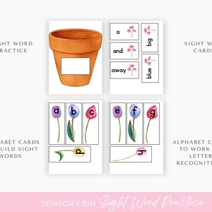 Flower Themed Bundle, Flower Unit Study, Preschool Printable, Preschool ...