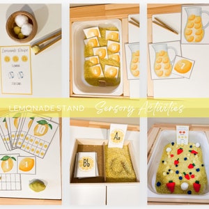 Lemonade Stand Dramatic Play Center and Sensory Activities, DIGITAL ...