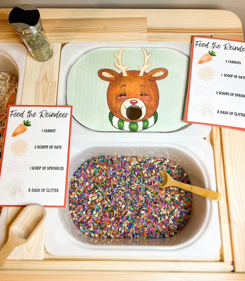 Feed the Reindeer Sensory Activity and Direction Cards, DIGITAL ...