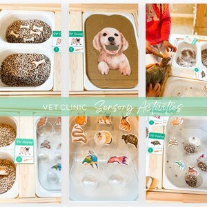 Vet Clinic/animal Hospital Dramatic Play Center and Sensory Bin ...
