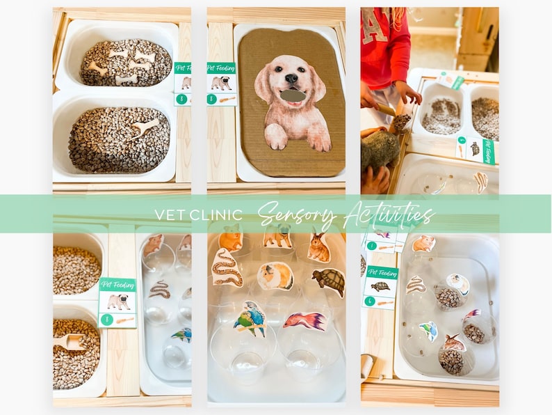 Vet Clinic/animal Hospital Dramatic Play Center and Sensory Bin ...