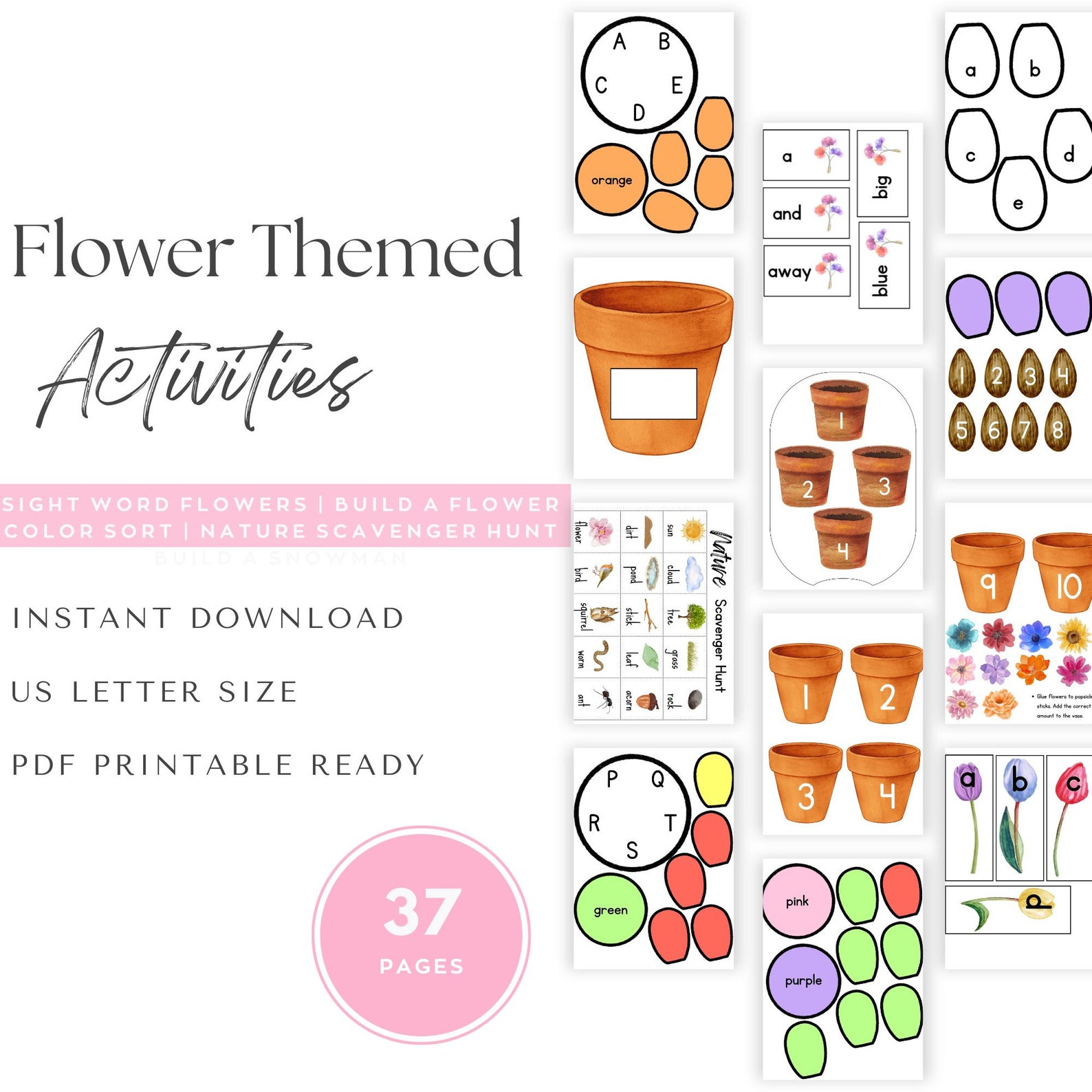 Flower Themed Bundle, Flower Unit Study, Preschool Printable, Preschool ...
