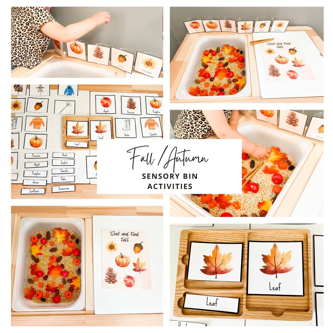 Fall/autumn Theme Sensory Bin Activities 3 Part Cards Seek - Etsy