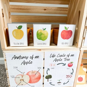 Apple Orchard Dramatic Play Center DIGITAL DOWNLOAD - Etsy