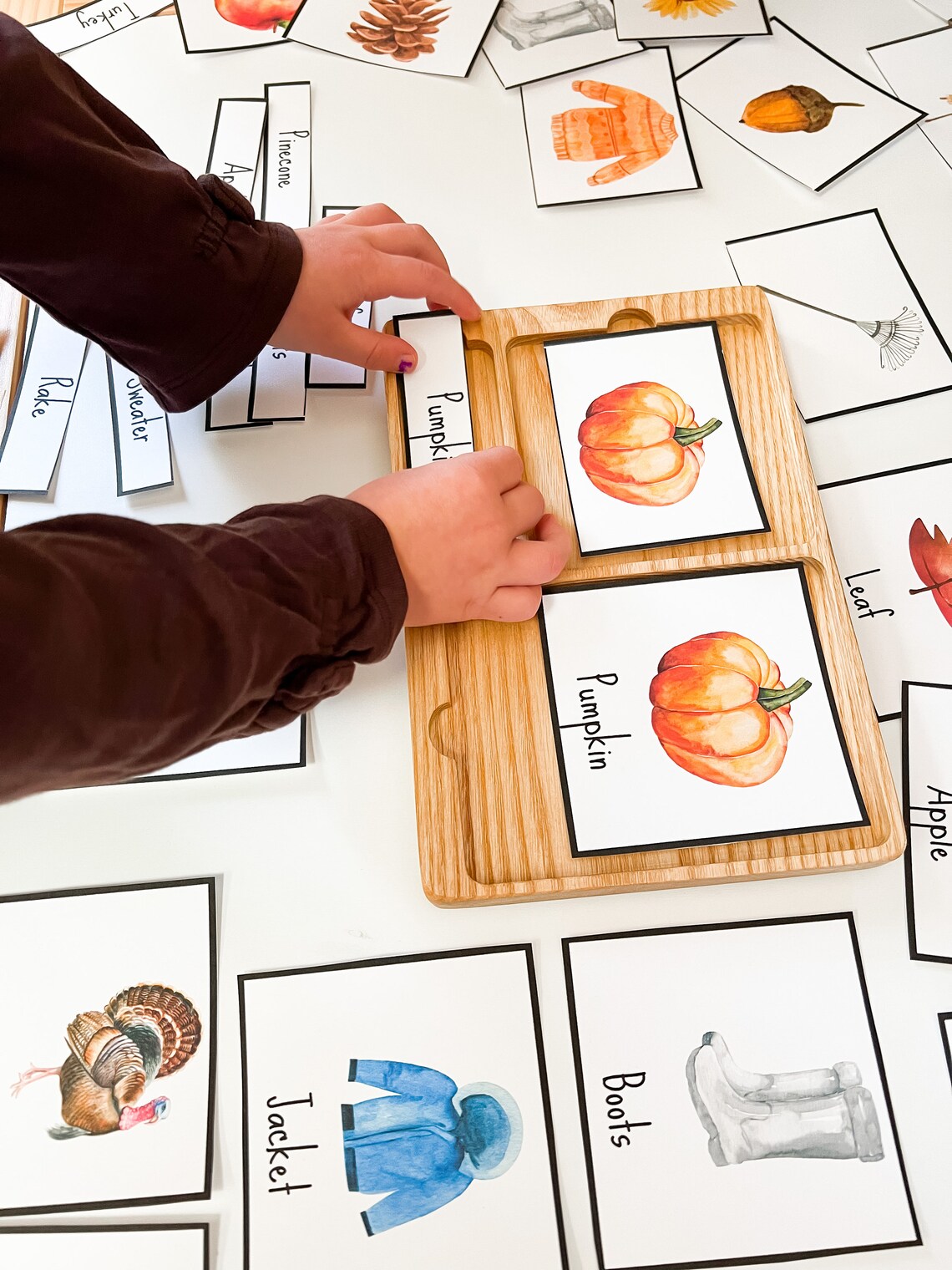 Fall/autumn Theme Sensory Bin Activities, 3 Part Cards, Seek and Find ...