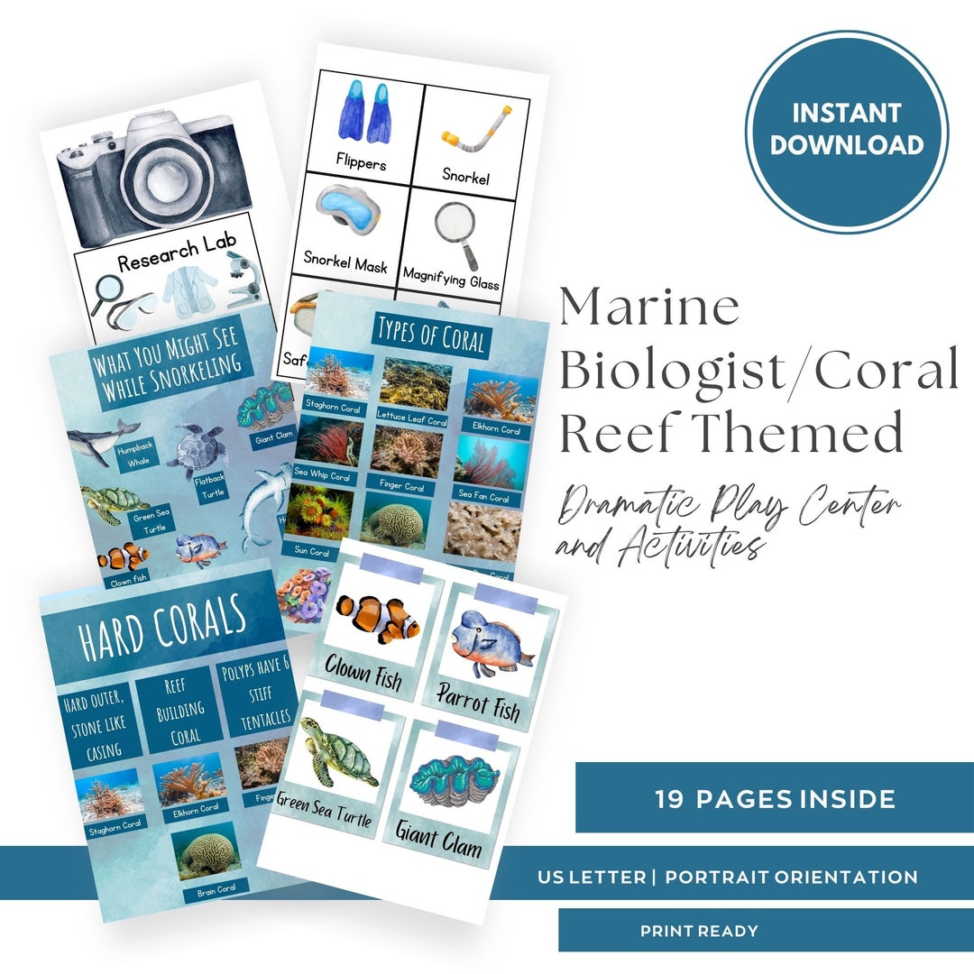 Marine Biologist/ Coral Reef Dramatic Play Center, Preschool Pretend ...