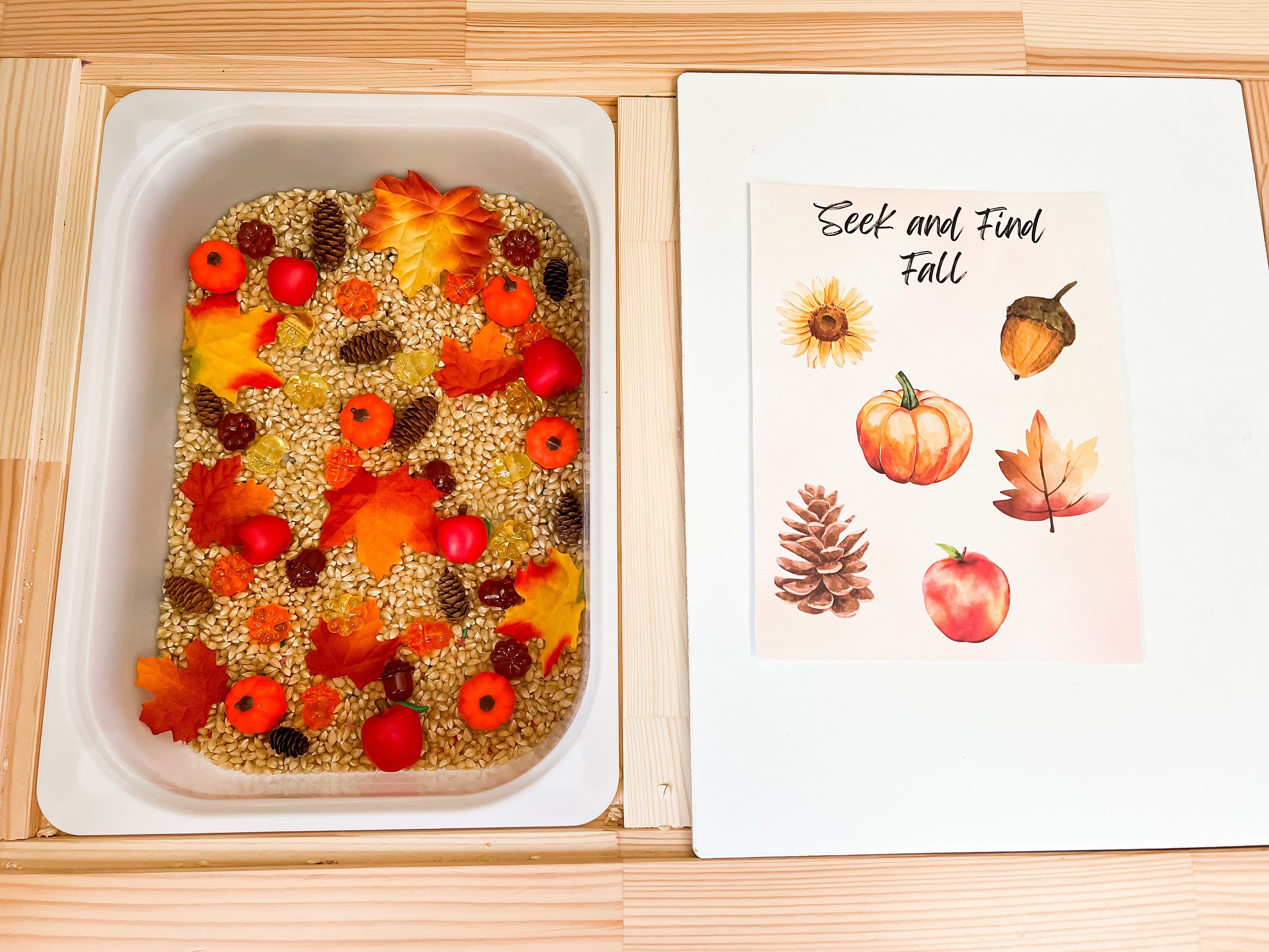 Fall/autumn Theme Sensory Bin Activities 3 Part Cards Seek - Etsy