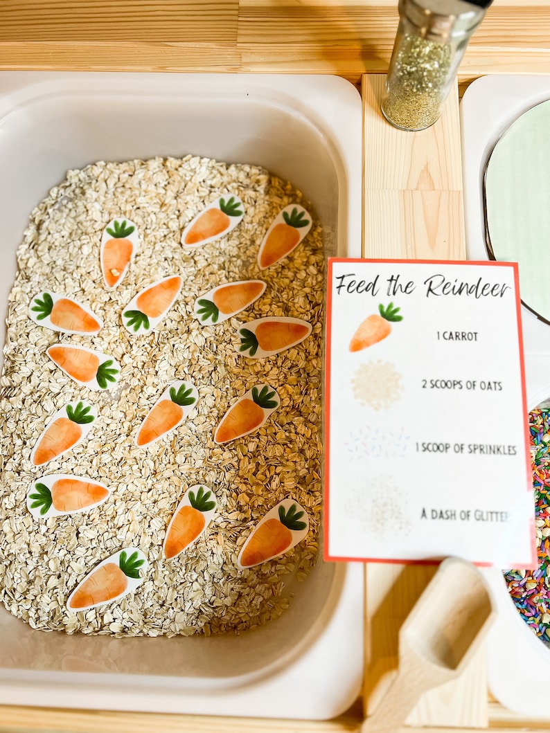 Feed the Reindeer Sensory Activity and Direction Cards, DIGITAL ...