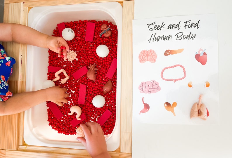 Doctor Dramatic Play Printables, Sensory Bin Activities (instant ...