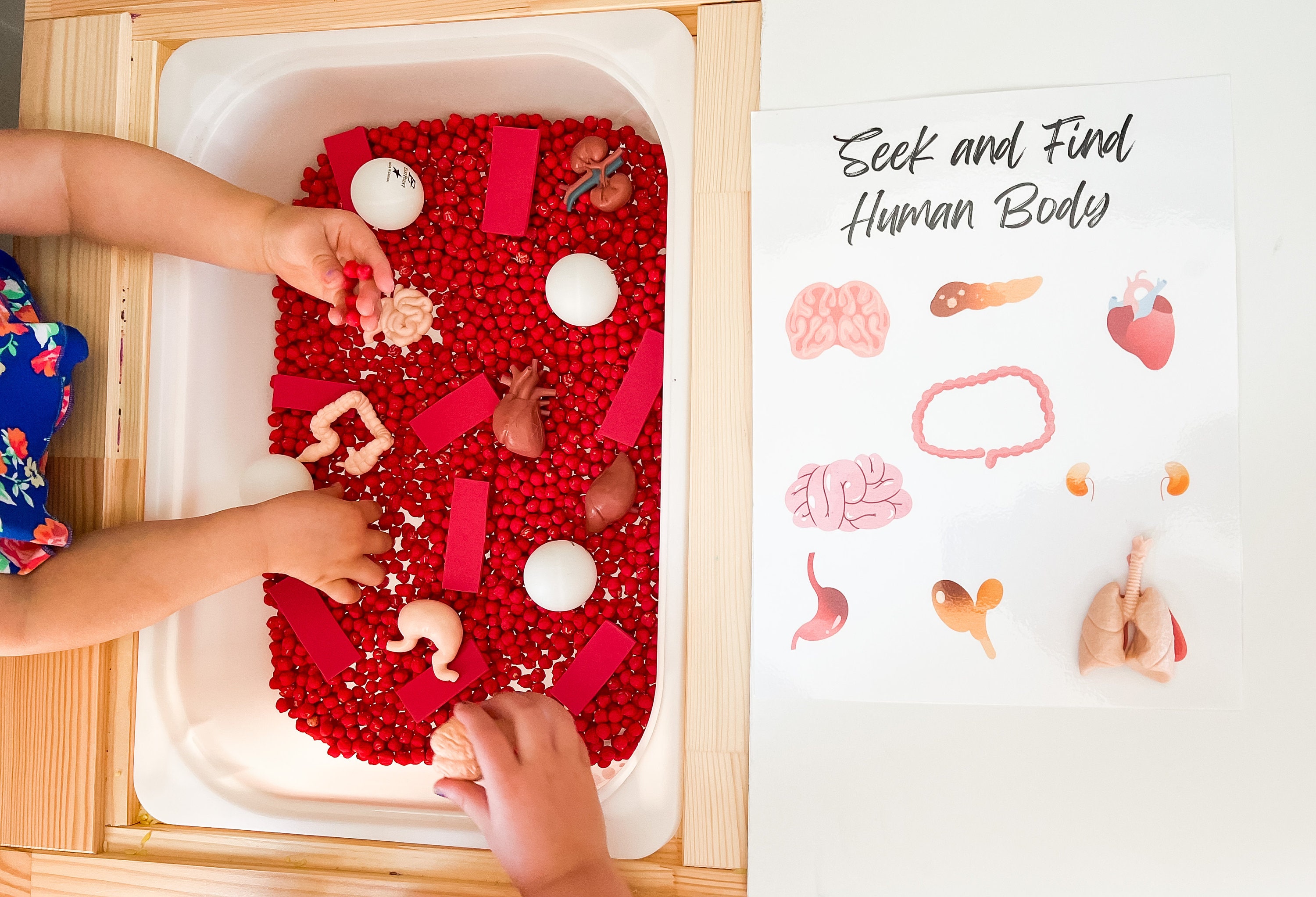 Doctor Dramatic Play Printables Hospital Dramatic Play - Etsy