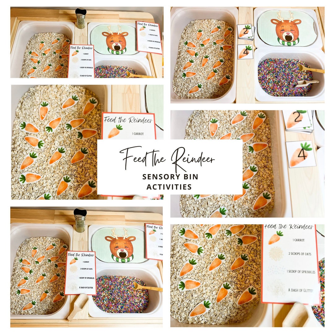 Feed the Reindeer Sensory Activity and Direction Cards - Etsy