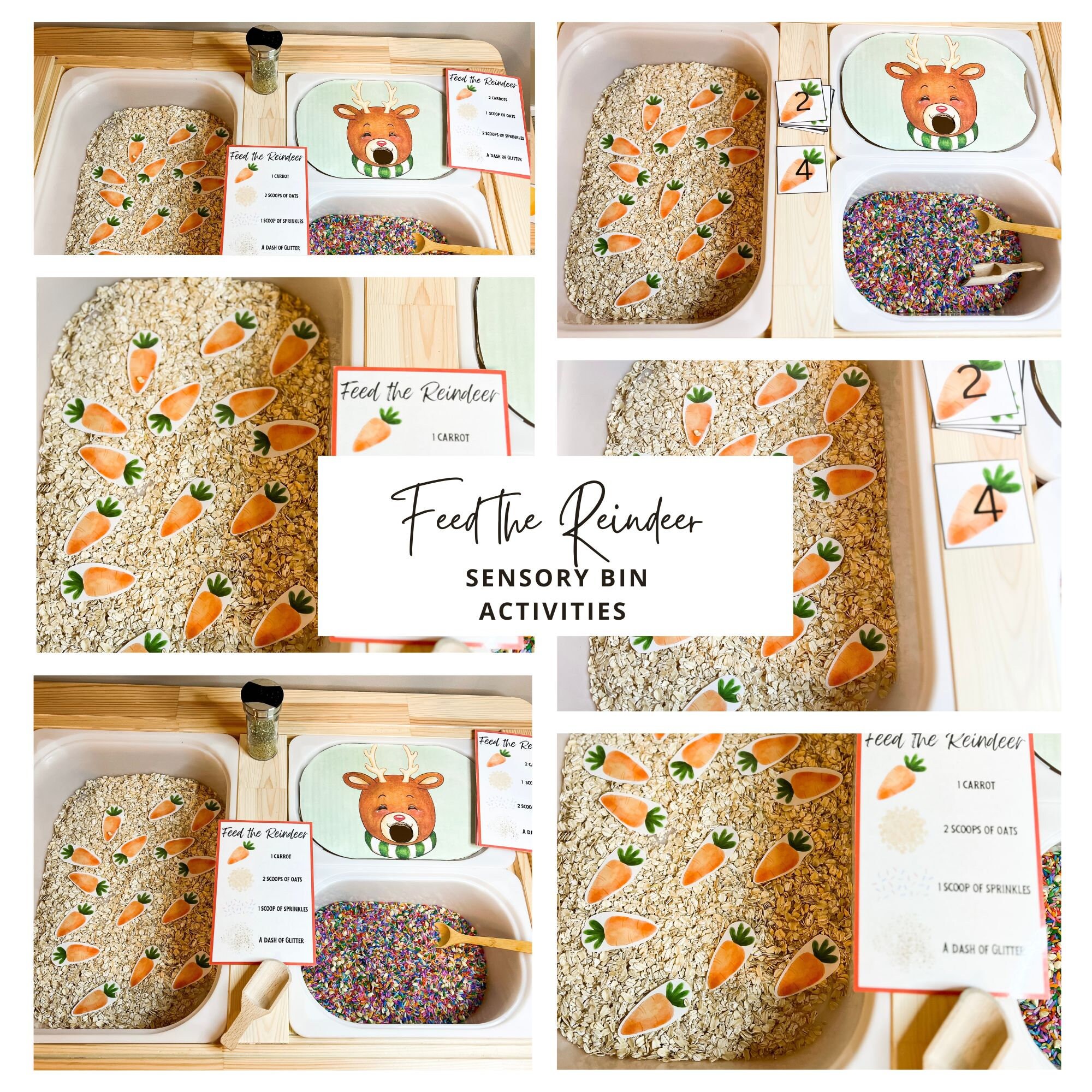 Feed the Reindeer Sensory Activity and Direction Cards, DIGITAL ...