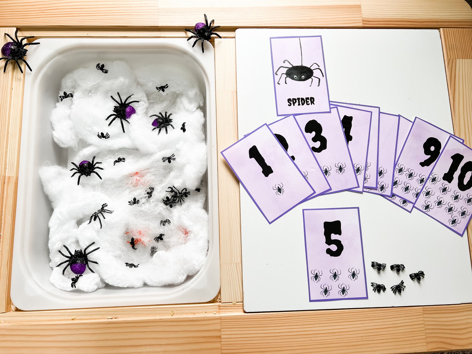 Halloween Themed Sensory Bin Activities ONLY, Recipe Cards and Spider ...
