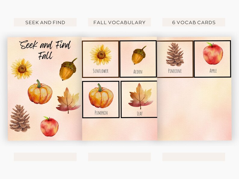 Fall/autumn Theme Sensory Bin Activities, 3 Part Cards, Seek and Find ...