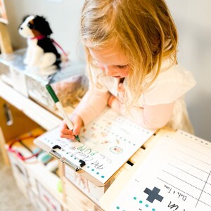 Vet Clinic/animal Hospital Dramatic Play Center and Sensory Bin ...