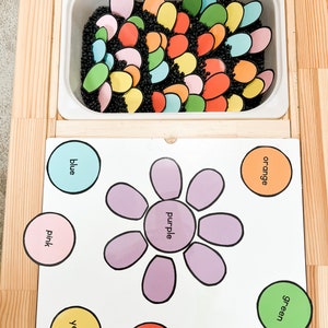 Flower Themed Bundle, Flower Unit Study, Preschool Printable, Preschool ...
