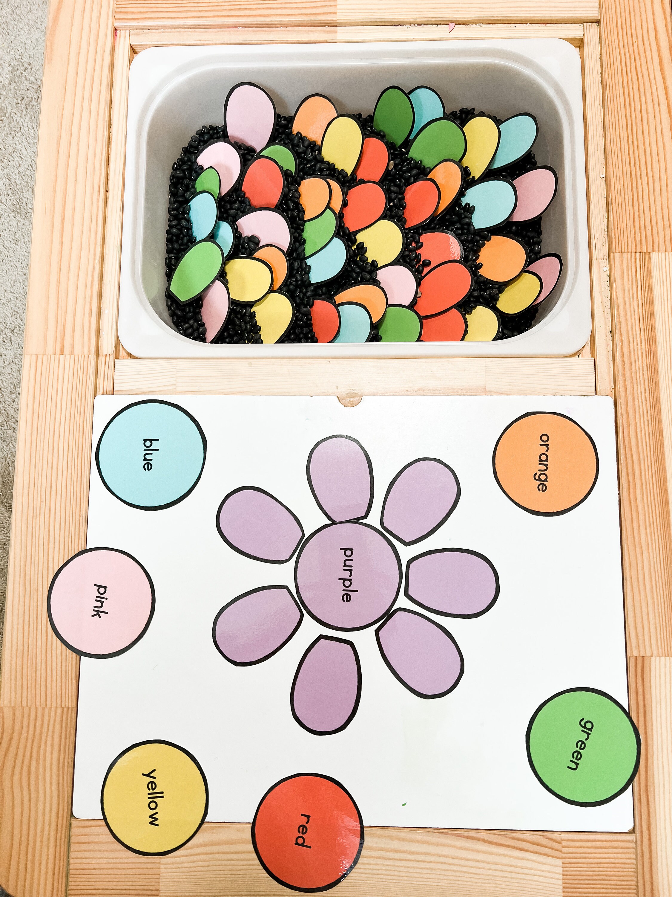 Flower Themed Bundle, Flower Unit Study, Preschool Printable, Preschool ...