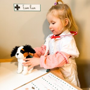 Vet Clinic/animal Hospital Dramatic Play Center and Sensory Bin ...
