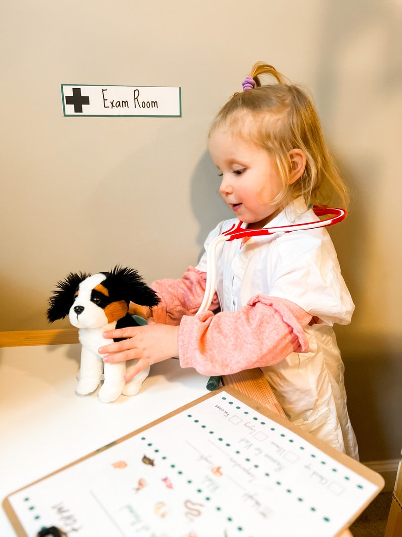 Vet Clinic/animal Hospital Dramatic Play Center and Sensory Bin ...