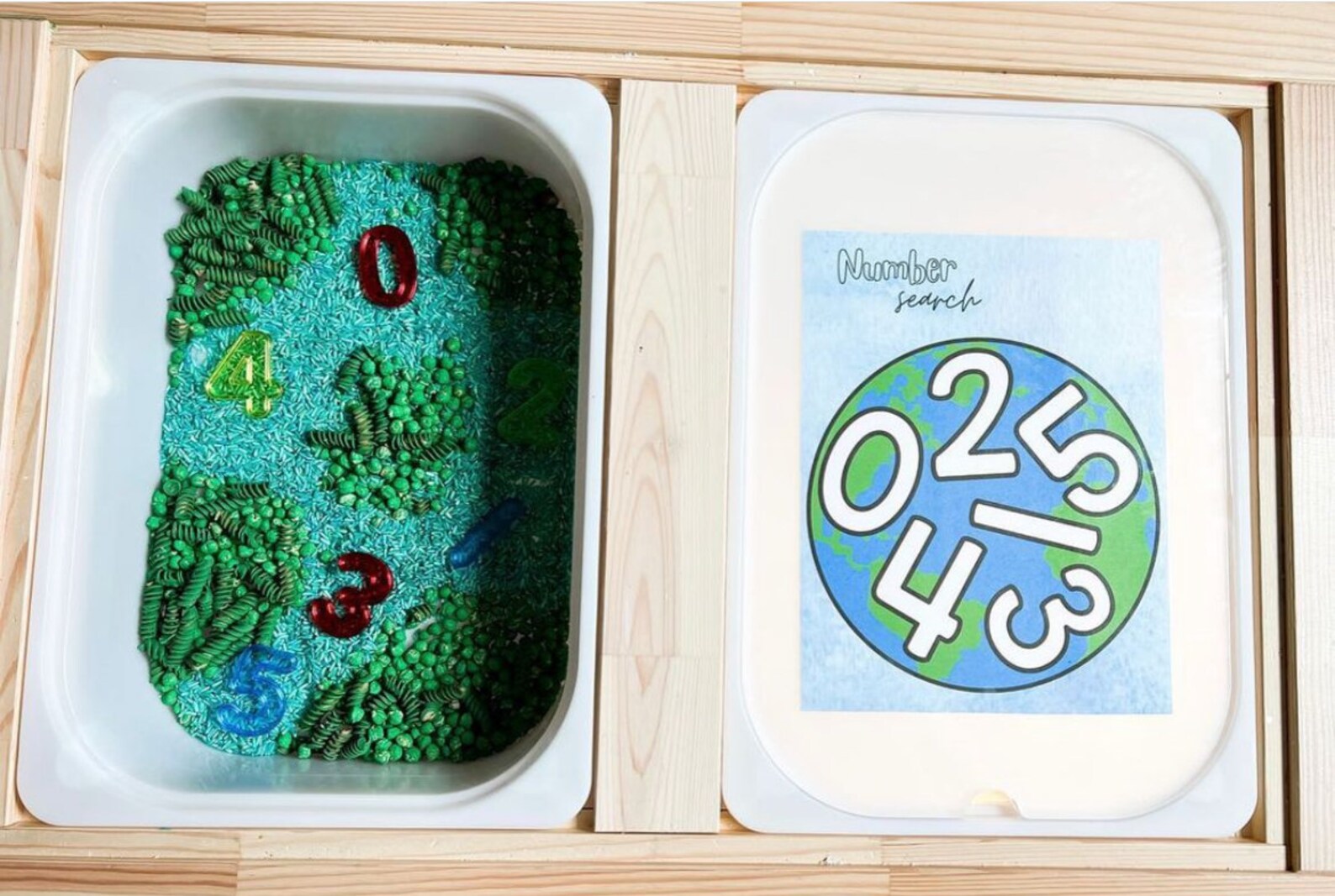 Earth Day Sensory Bin Activities, Sensory Bin Insert, Sorting Activity ...