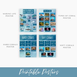 Marine Biologist/ Coral Reef Dramatic Play Center, Preschool Pretend ...