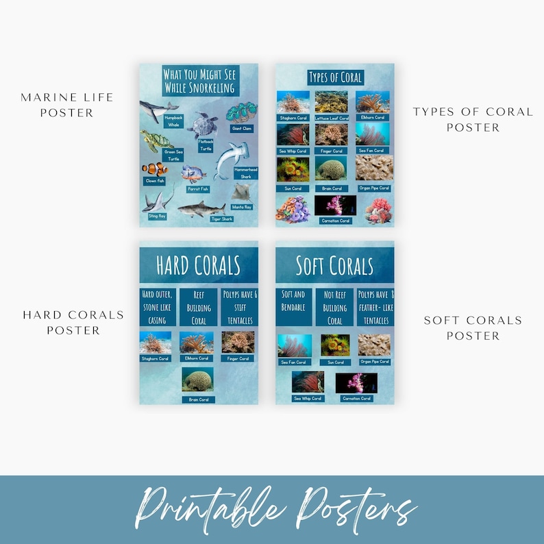 Coral Reef Marine Biologist Dramatic Play Printables (digital Download ...