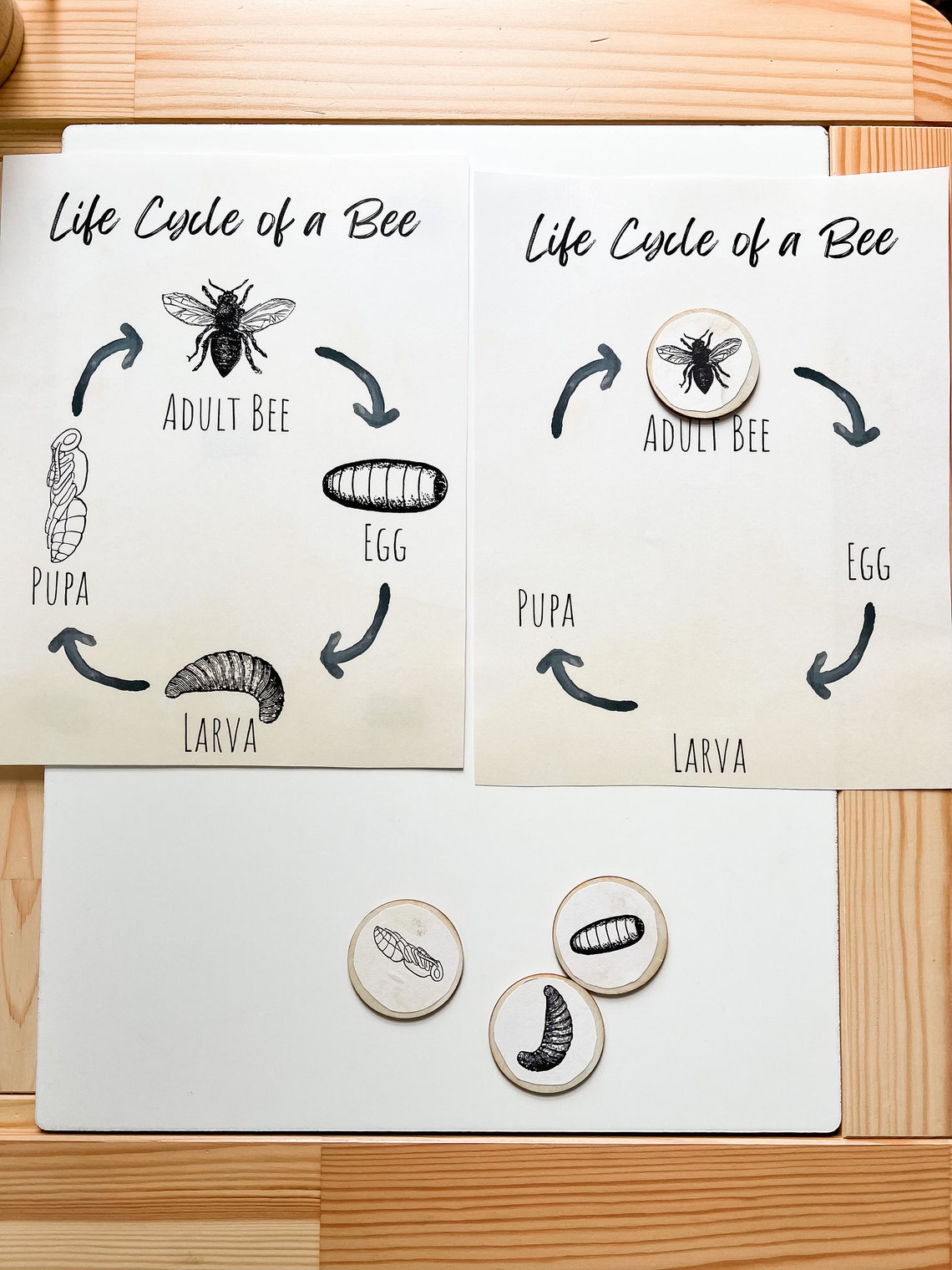 Honey Market/bee Keeper Dramatic Play Center DIGITAL DOWNLOAD - Etsy