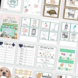 Vet Clinic/animal Hospital Dramatic Play Center and Sensory Bin ...