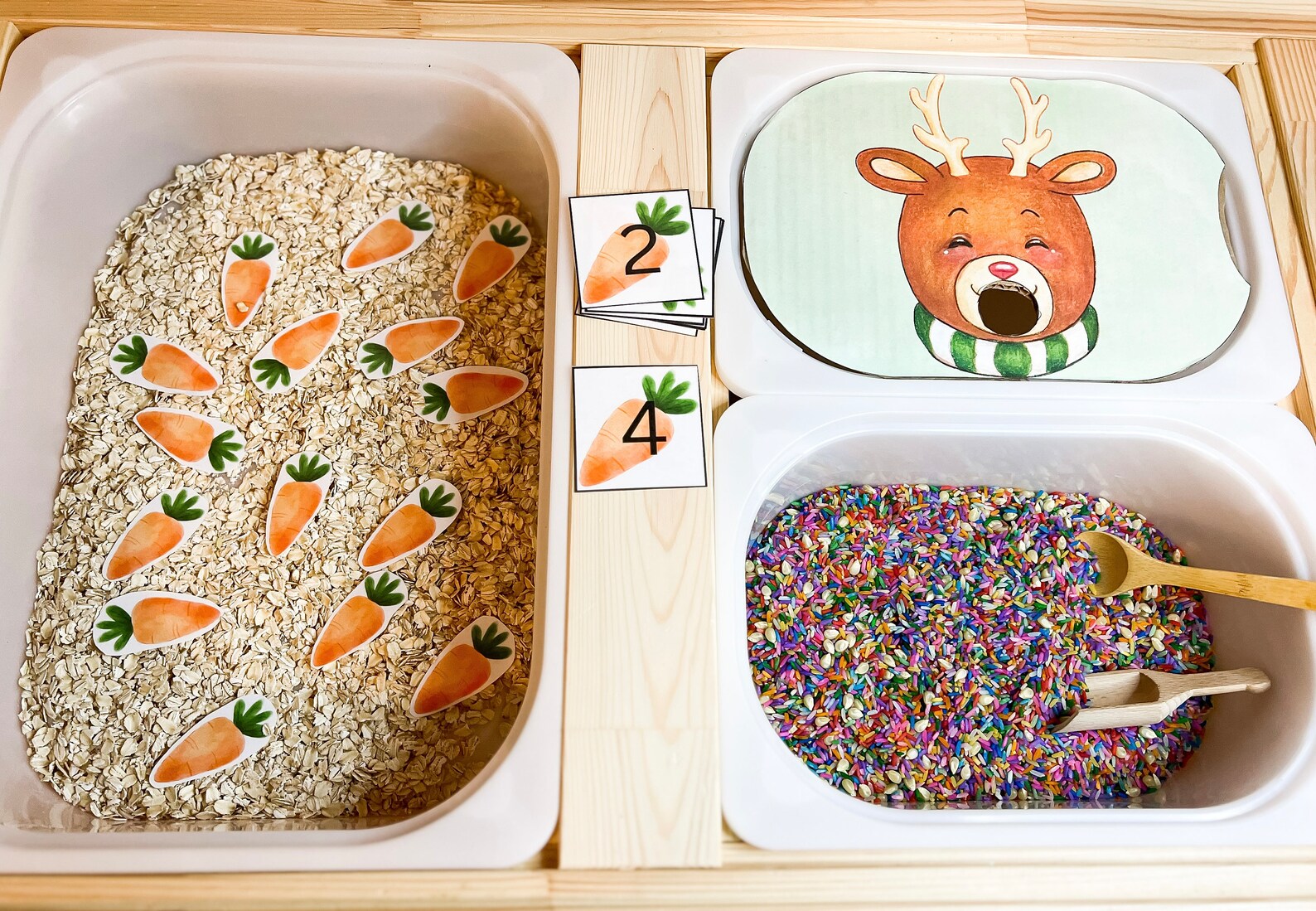 Feed the Reindeer Sensory Activity and Direction Cards, DIGITAL ...