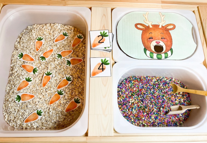 Feed the Reindeer Sensory Activity and Direction Cards, DIGITAL ...