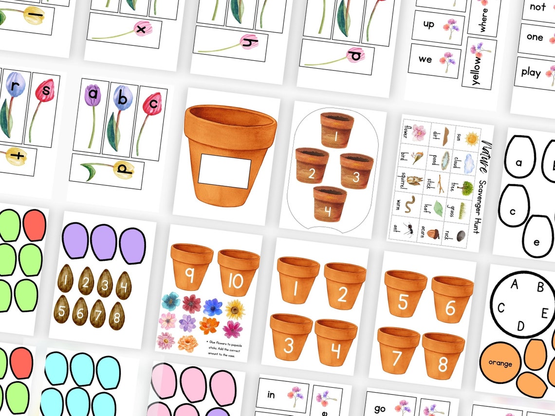 Flower Themed Bundle Flower Unit Study Preschool Printable - Etsy