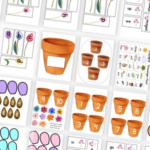 Flower Themed Bundle, Flower Unit Study, Preschool Printable, Preschool ...