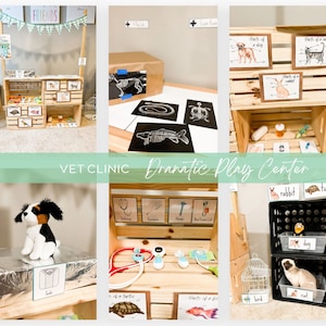 Vet Clinic/animal Hospital Dramatic Play Center and Sensory Bin ...
