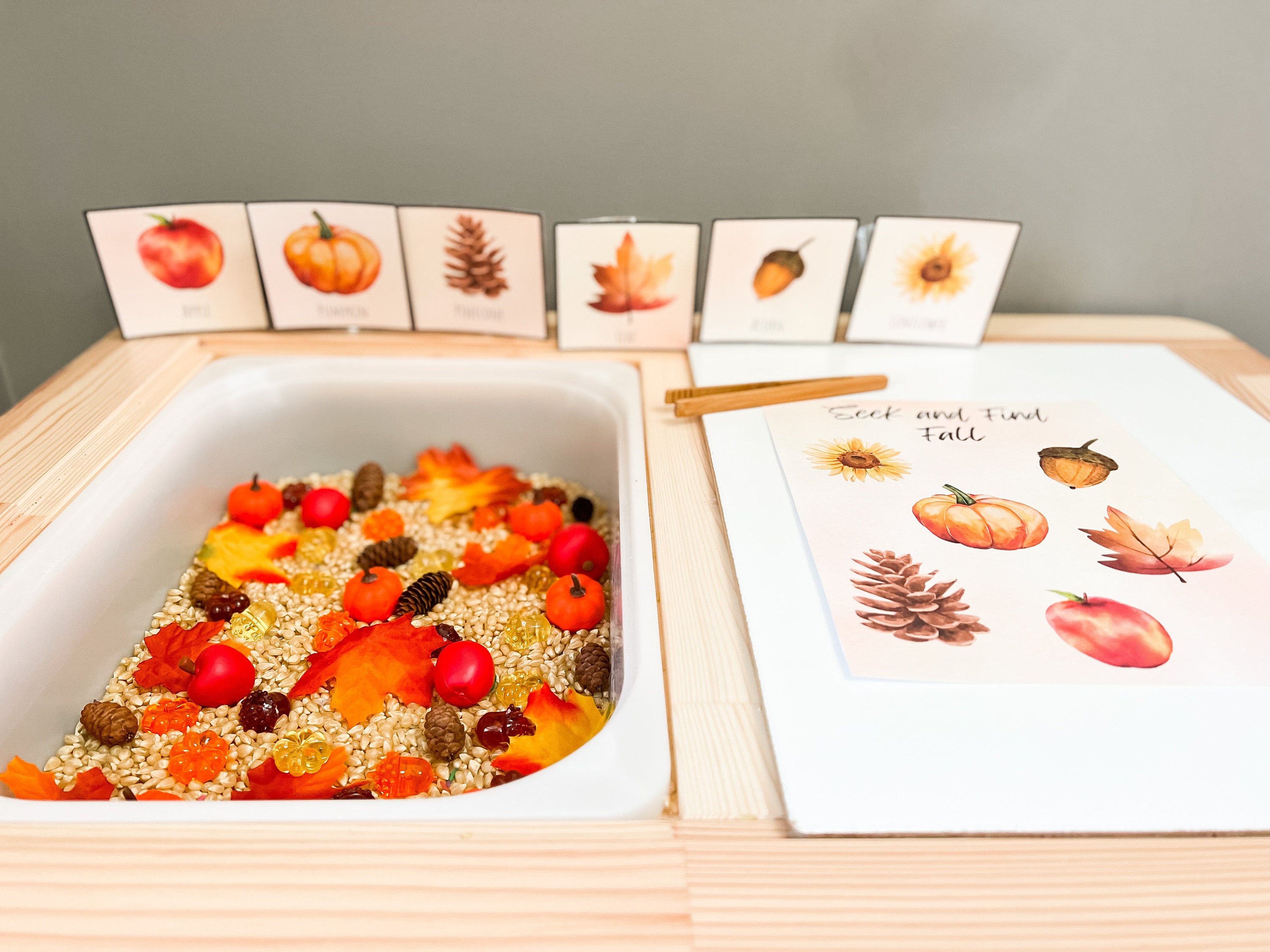 Fall/autumn Theme Sensory Bin Activities, 3 Part Cards, Seek and Find ...