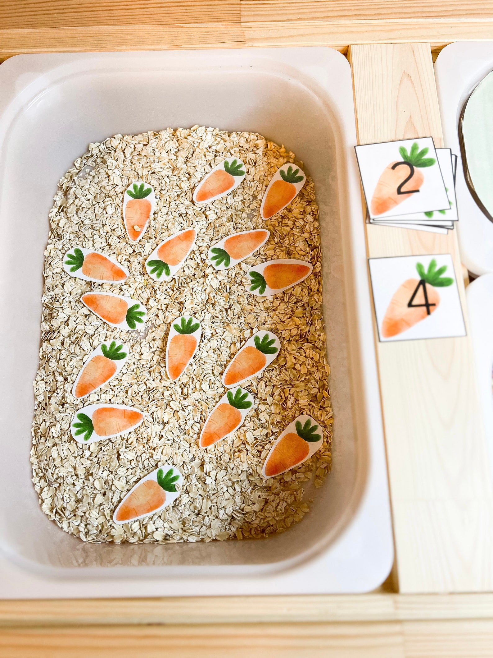 Feed the Reindeer Sensory Activity and Direction Cards, DIGITAL ...