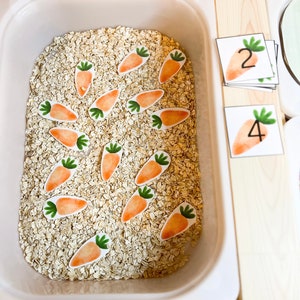 Feed the Reindeer Sensory Activity and Direction Cards, DIGITAL ...