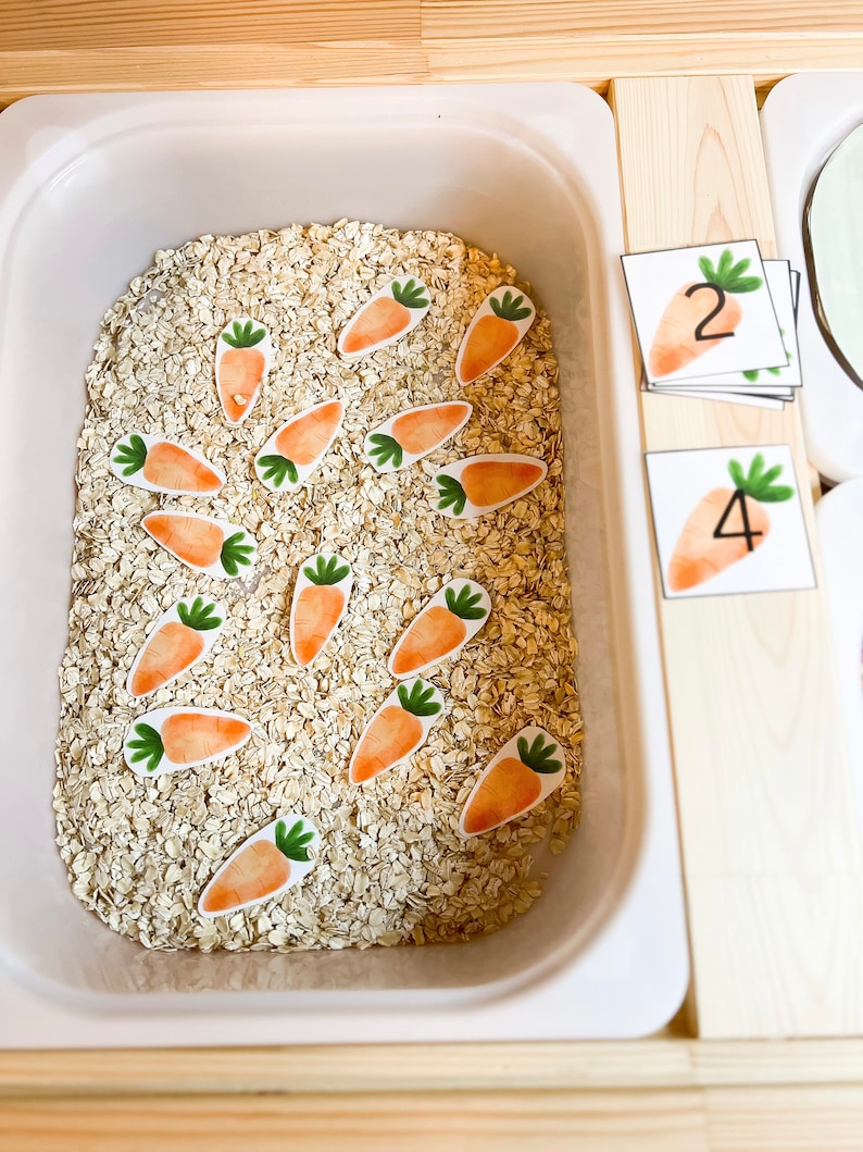 Feed the Reindeer Sensory Activity and Direction Cards, DIGITAL ...