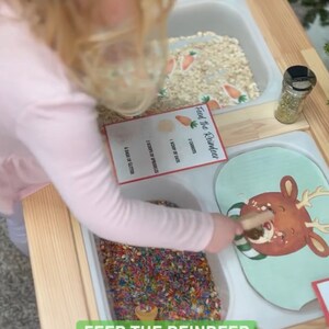 Feed the Reindeer Sensory Activity and Direction Cards, DIGITAL ...
