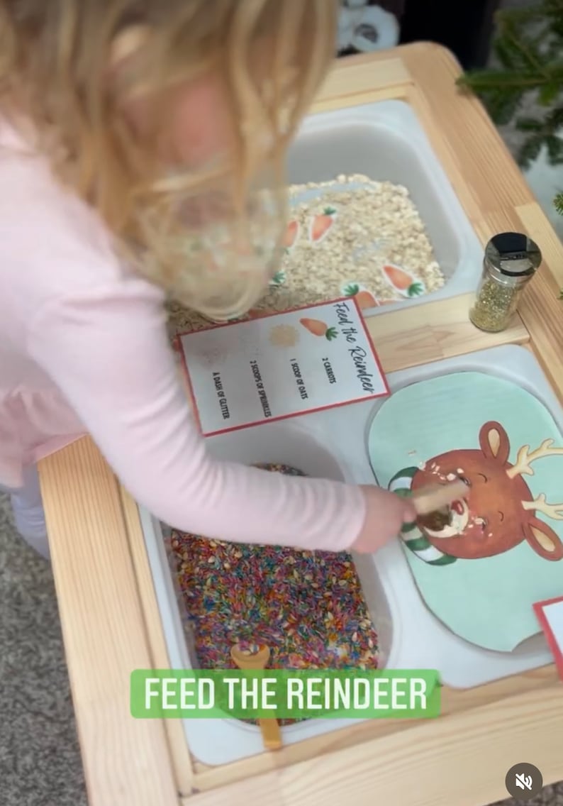 Feed the Reindeer Sensory Activity and Direction Cards, DIGITAL ...