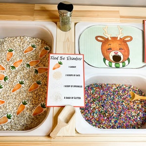 Feed the Reindeer Sensory Activity and Direction Cards, DIGITAL ...