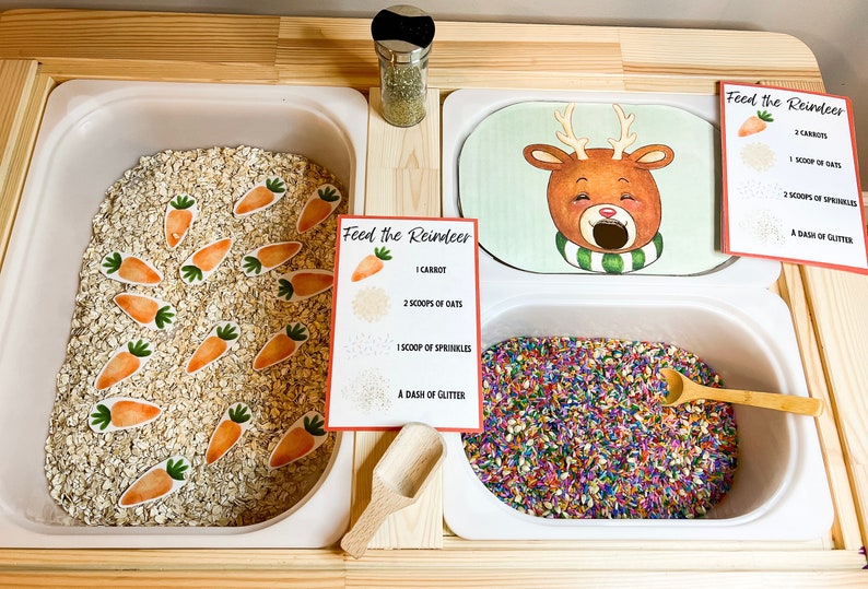Feed the Reindeer Sensory Activity and Direction Cards, DIGITAL ...